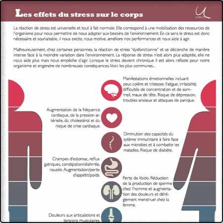 Les effets du stress sur le corps